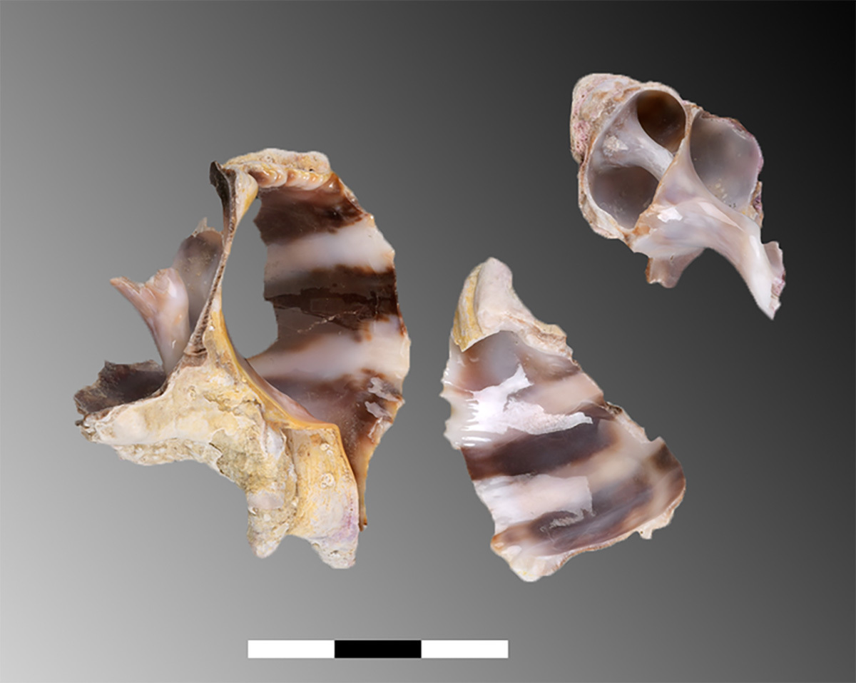 Ancient, surprisingly well-preserved purple dye uncovered in Greece ...