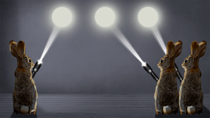 How does the visual rabbit illusion fool us so reliably? | Popular Science