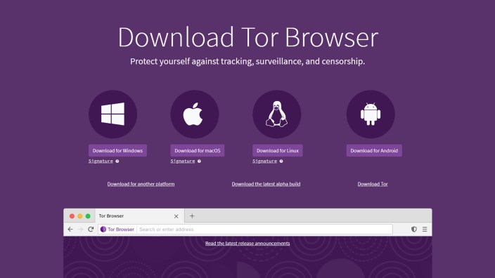 How to use Google's dark web reports for free | Popular Science