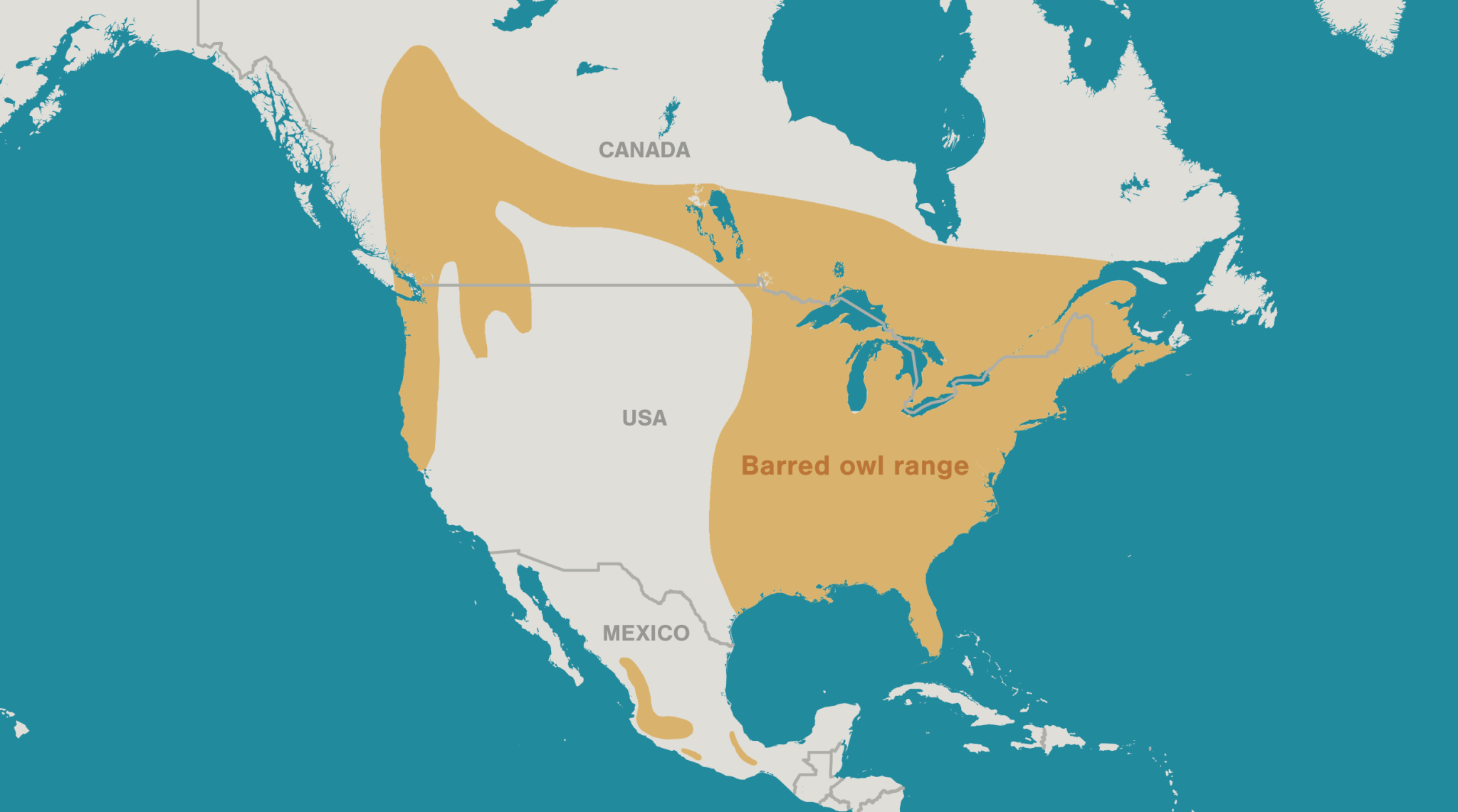 These owls spread from east to west. Not everyone is pleased. | Popular ...