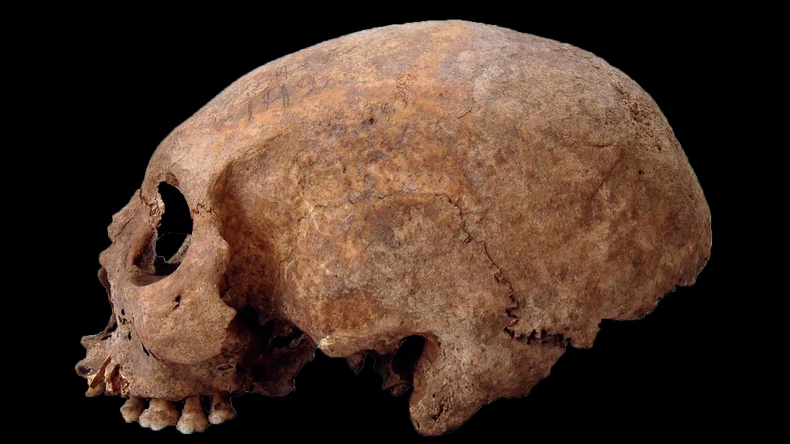These viking ladies tried to start a trend for pointy heads, but it ...