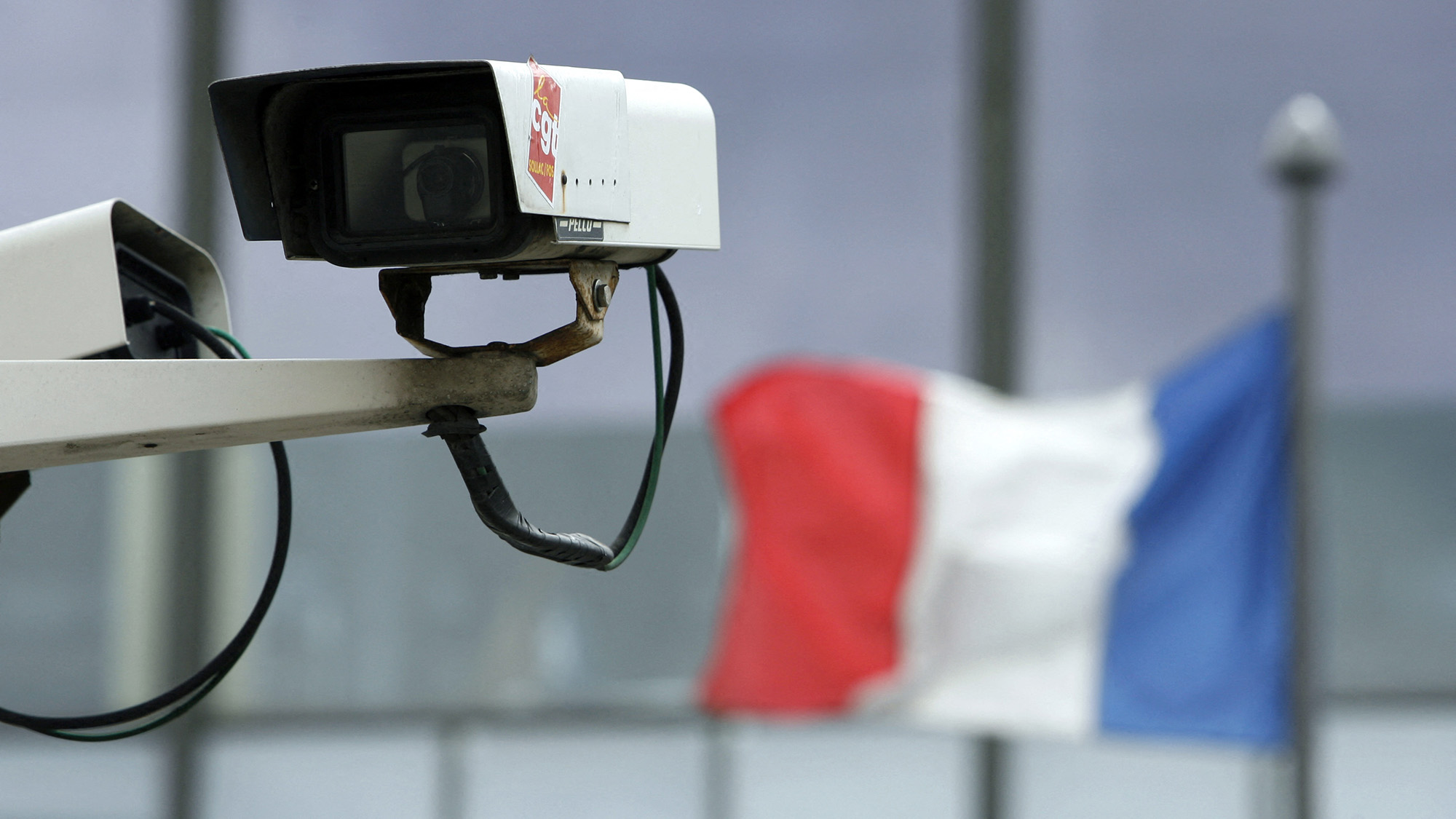 How dogs detect bombs better than devices | Popular Science