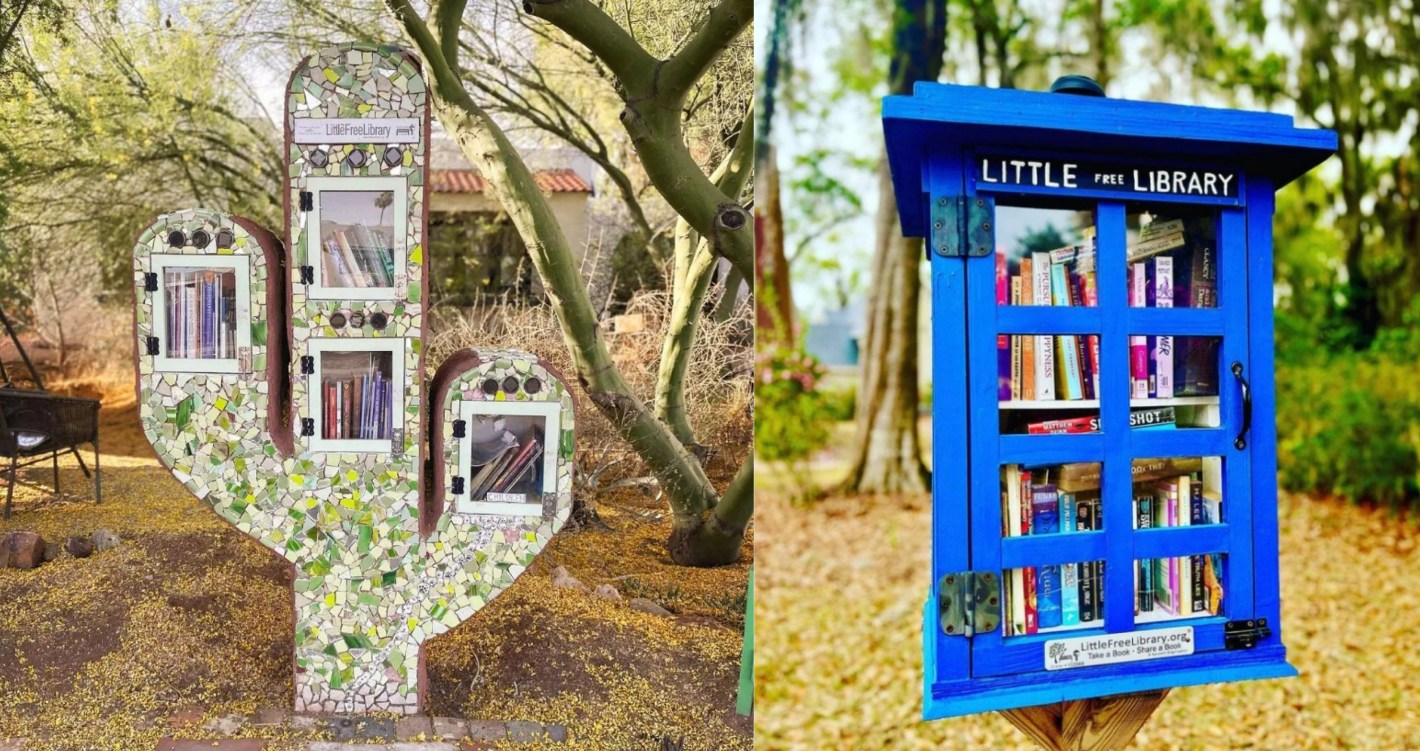How to set up a Little Free Library | Popular Science