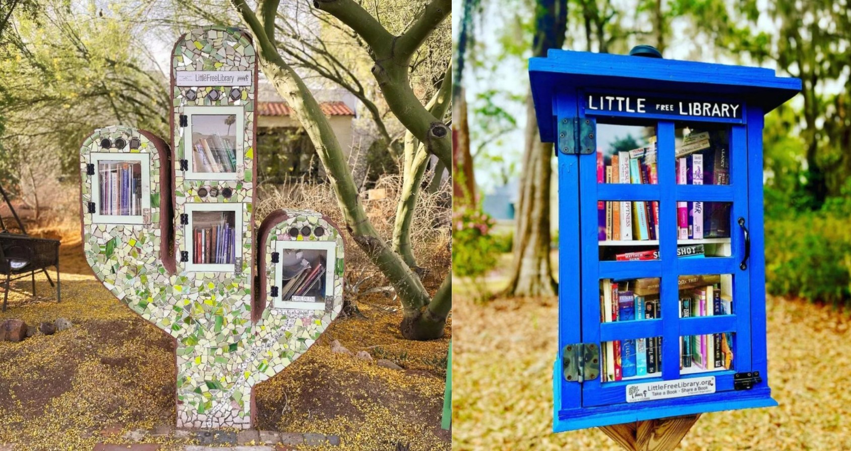 How to set up a Little Free Library | Popular Science