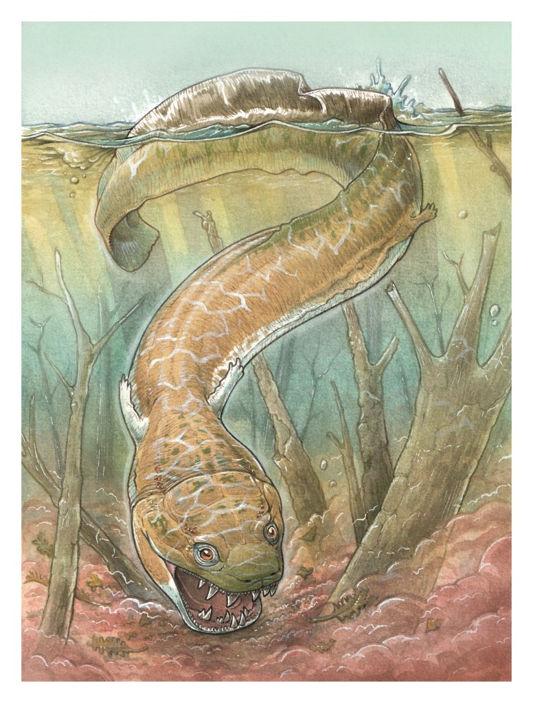 This giant tetrapod sucked in prey with its 'toilet seat-shaped' head ...