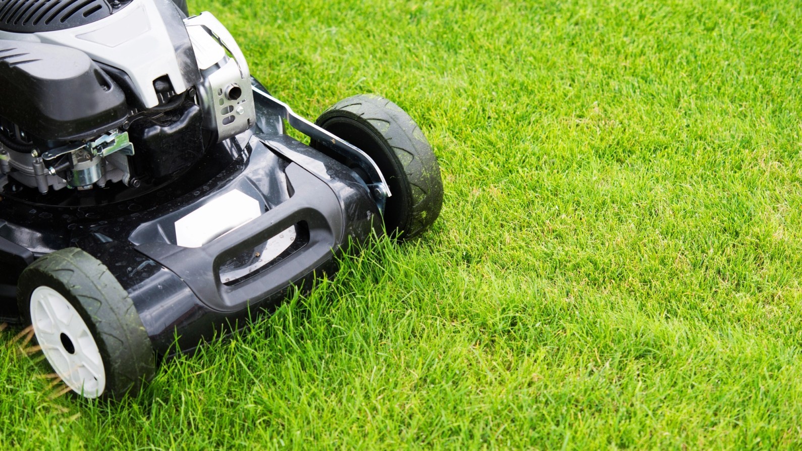 You're probably mowing your lawn wrong | Popular Science