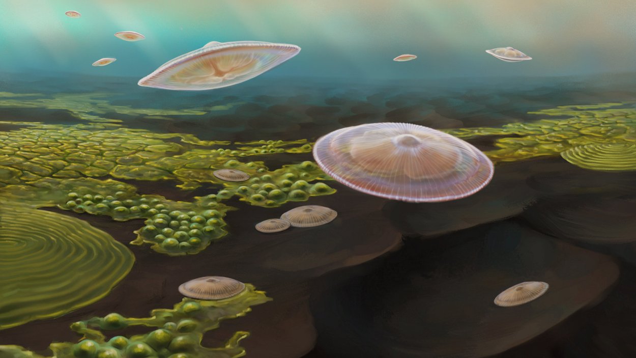 Study claims life tried to evolve 1.5 billion years earlier than we ...