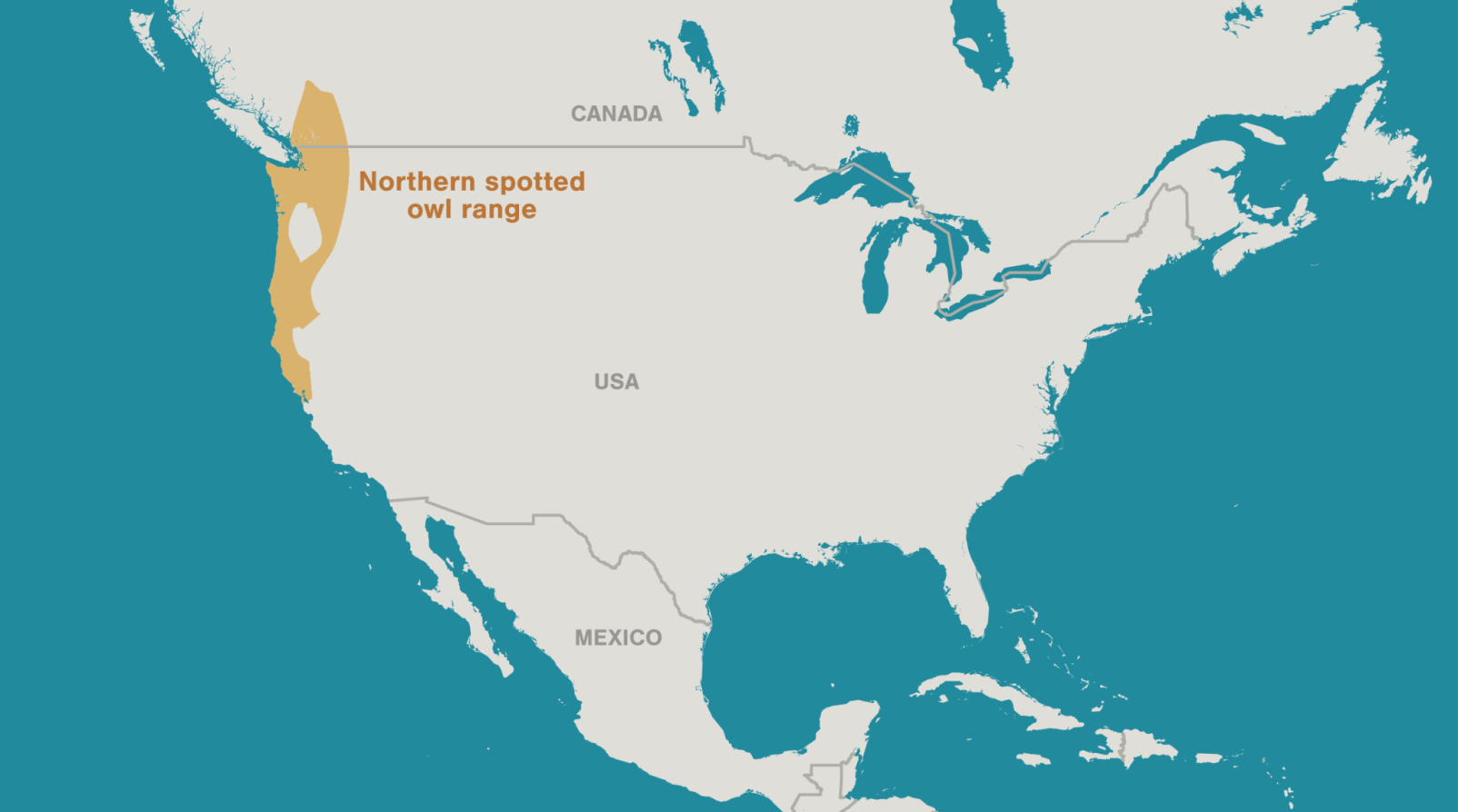 These owls spread from east to west. Not everyone is pleased. | Popular ...