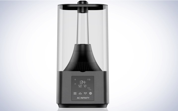 The best humidifiers for plants, according to experts | Popular Science