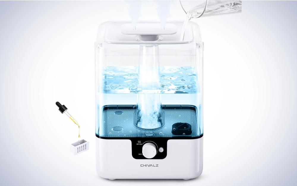 The best humidifiers for plants, according to experts | Popular Science