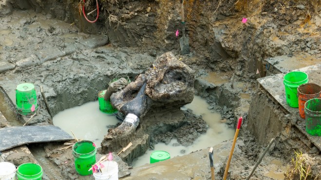 Huge mastodon skull found in a rural Iowa creek | Popular Science