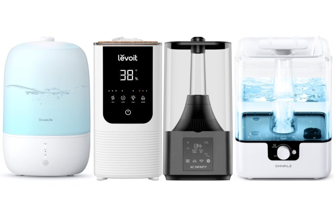 The best humidifiers for plants, according to experts | Popular Science