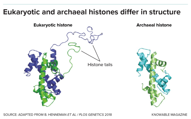 These proteins have been secretly managing your cells | Popular Science