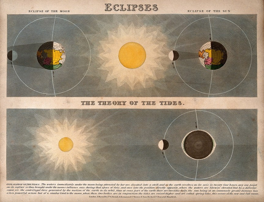 'The sun has been eaten': A brief history of solar eclipses | Popular ...