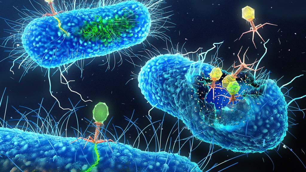 The phageome: A hidden kingdom within your gut | Popular Science