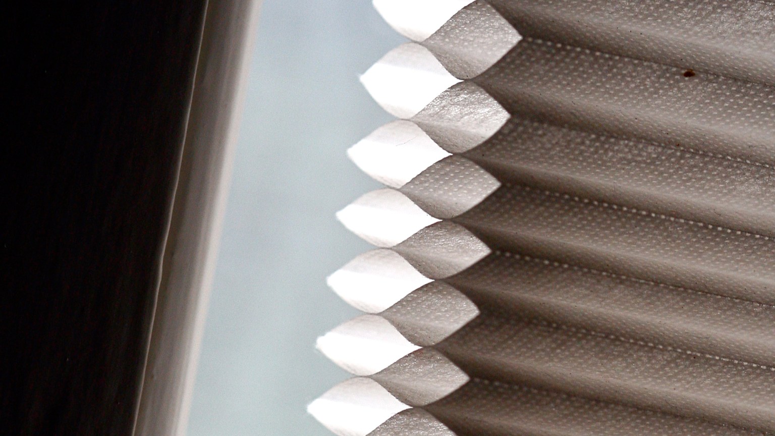 Ditch your old blinds for cellular shades | Popular Science