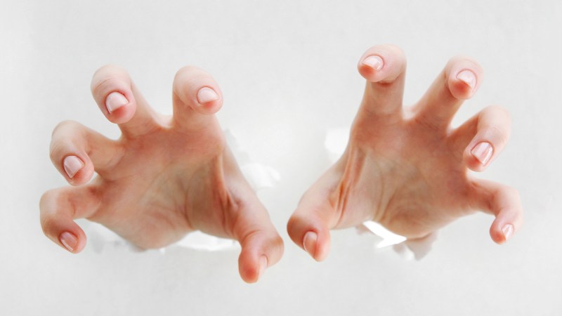 Why are we ticklish? The science of the silly response. | Popular Science