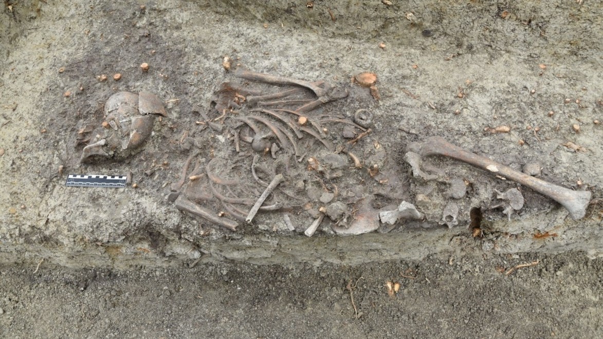 Medieval child ‘vampire burial’ exhumed near Polish cathedral | Popular ...