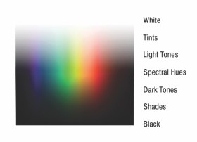Animals only see in black and white and 5 other color myths | Popular ...