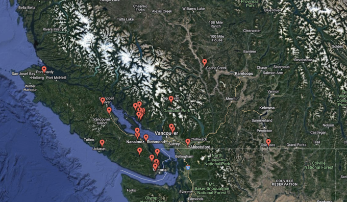 Invasive jellyfish 'clones' are spreading into Canada | Popular Science