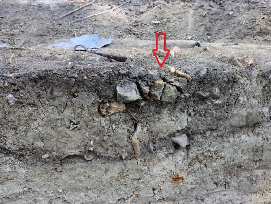 Medieval child ‘vampire burial’ exhumed near Polish cathedral | Popular ...