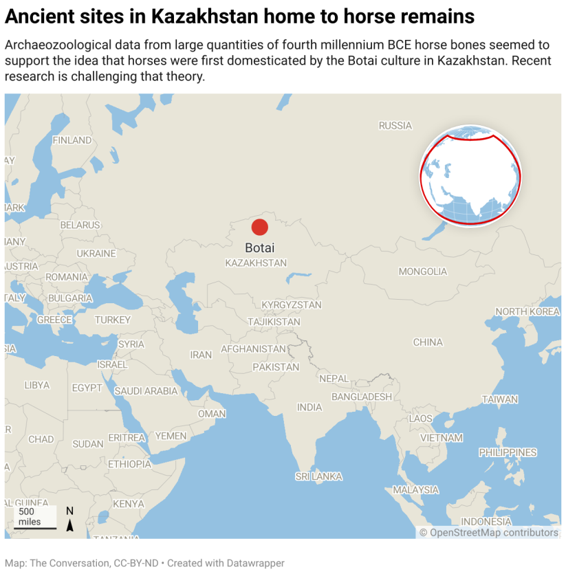 Where and when were horses domesticated? | Popular Science