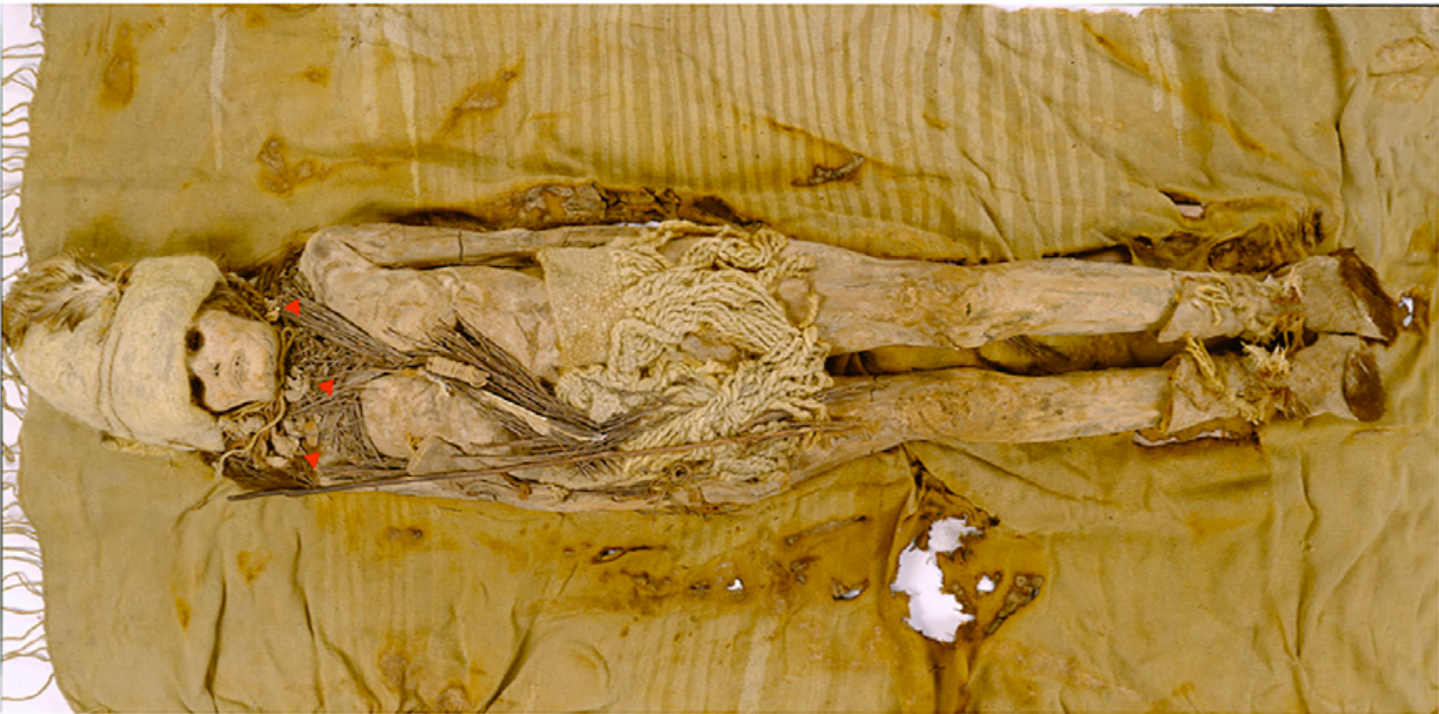 World’s oldest cheese found in necklaces on mummies in China | Popular ...