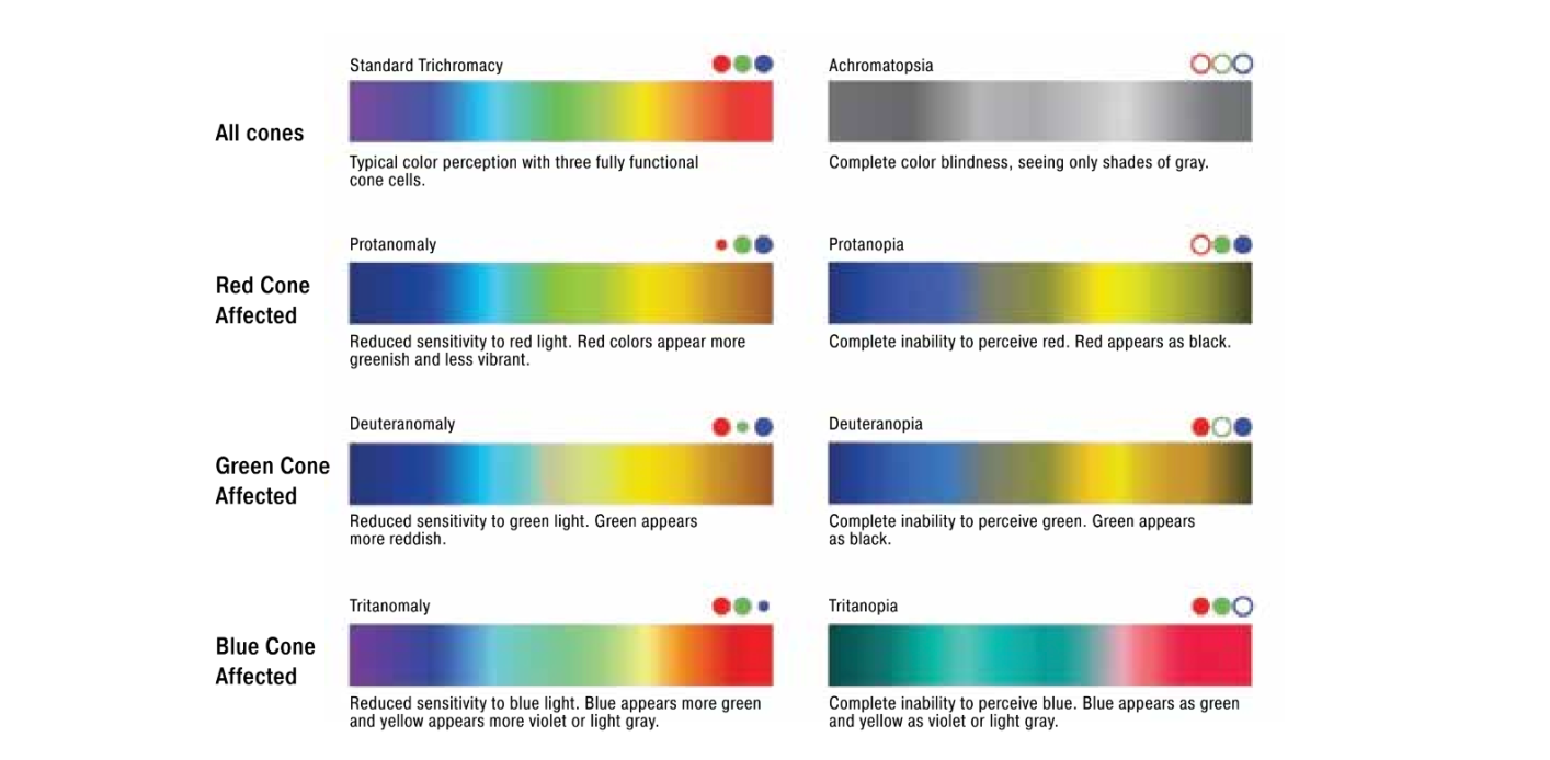 Animals only see in black and white and 5 other color myths | Popular ...