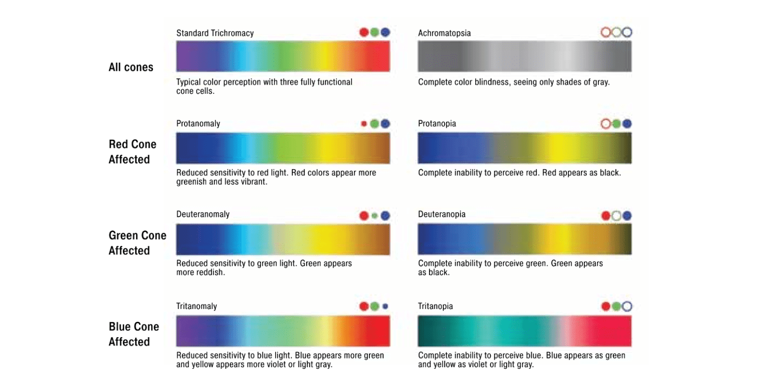 Animals only see in black and white and 5 other color myths | Popular ...