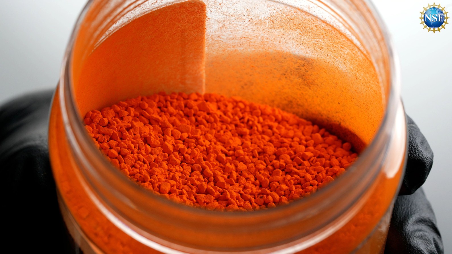 The dye in Doritos can make mice transparent | Popular Science