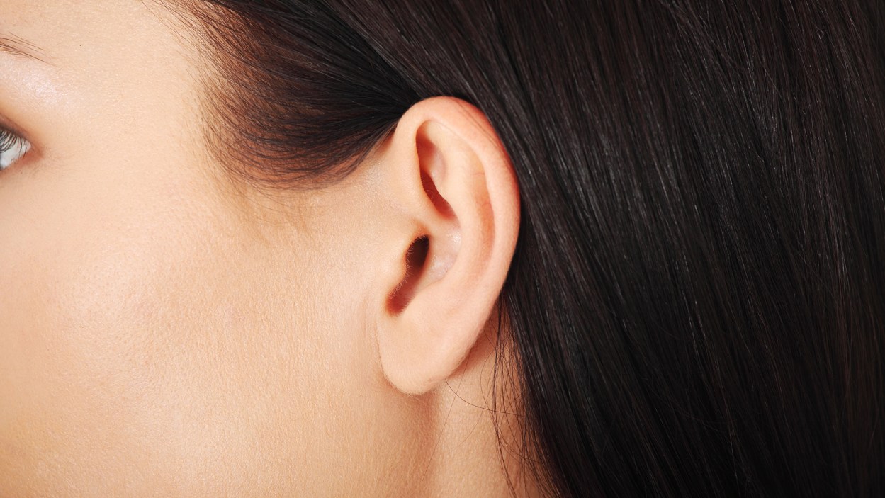 Why do we have earlobes? They make no evolutionary sense. | Popular Science