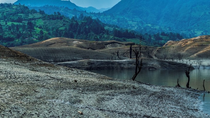 The remote locale that shielded plants during Earth's biggest mass ...