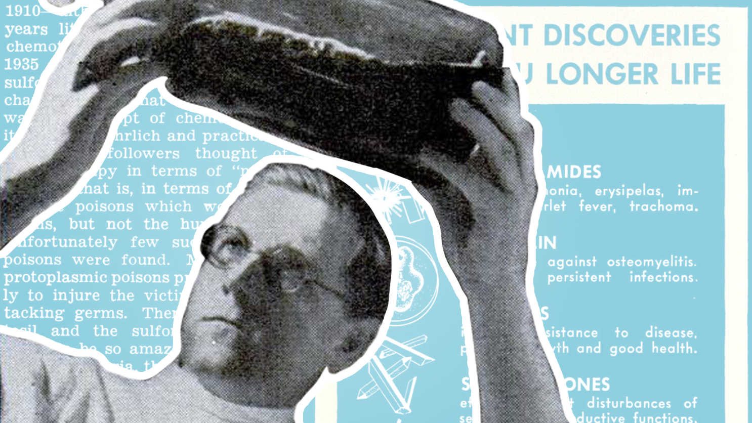 In 1928, the discovery of 'mold juice' would go on to save 500 million ...