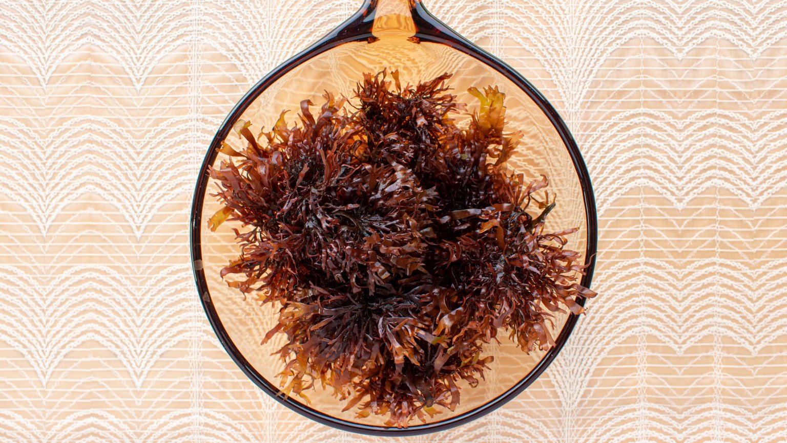 Bye, kale: Marine scientists want you to eat more seaweed | Popular Science