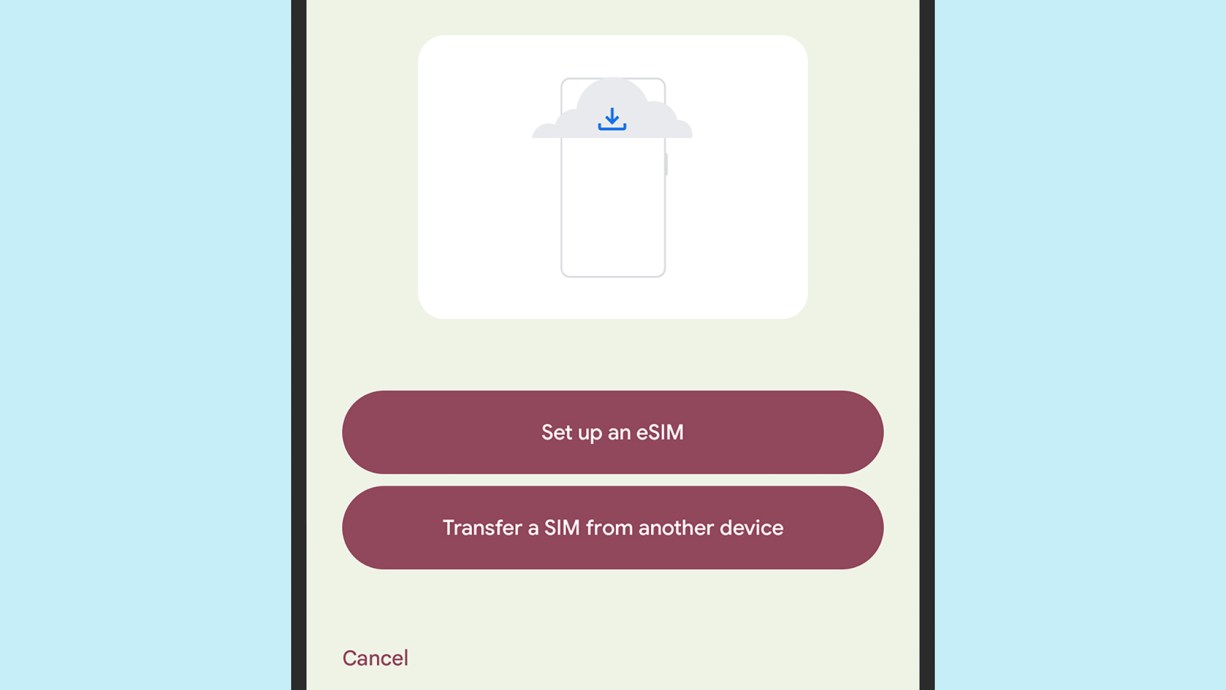 eSIMs explained: What they are, and how you can set one up | Popular ...