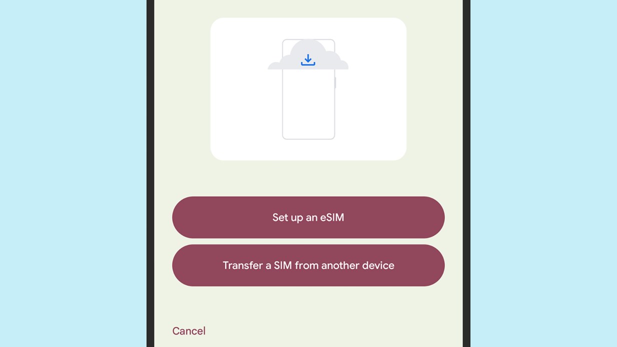 eSIMs explained: What they are, and how you can set one up | Popular ...