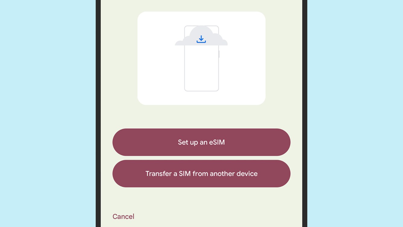 eSIMs explained: What they are, and how you can set one up | Popular ...