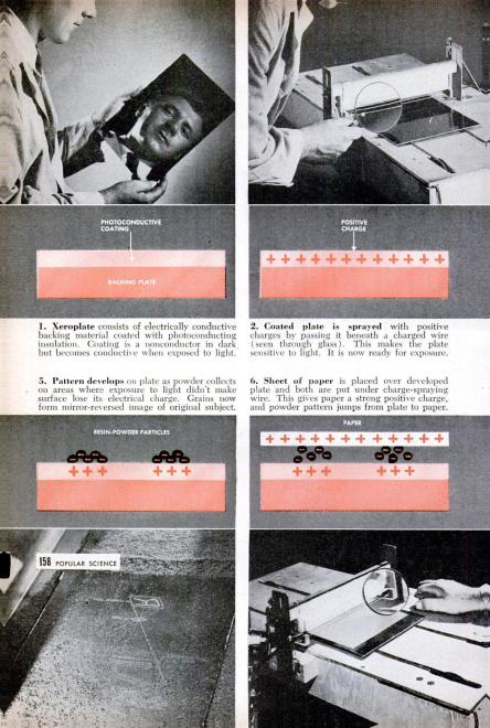 The fascinating, rocky history of the ubiquitous Xerox | Popular Science