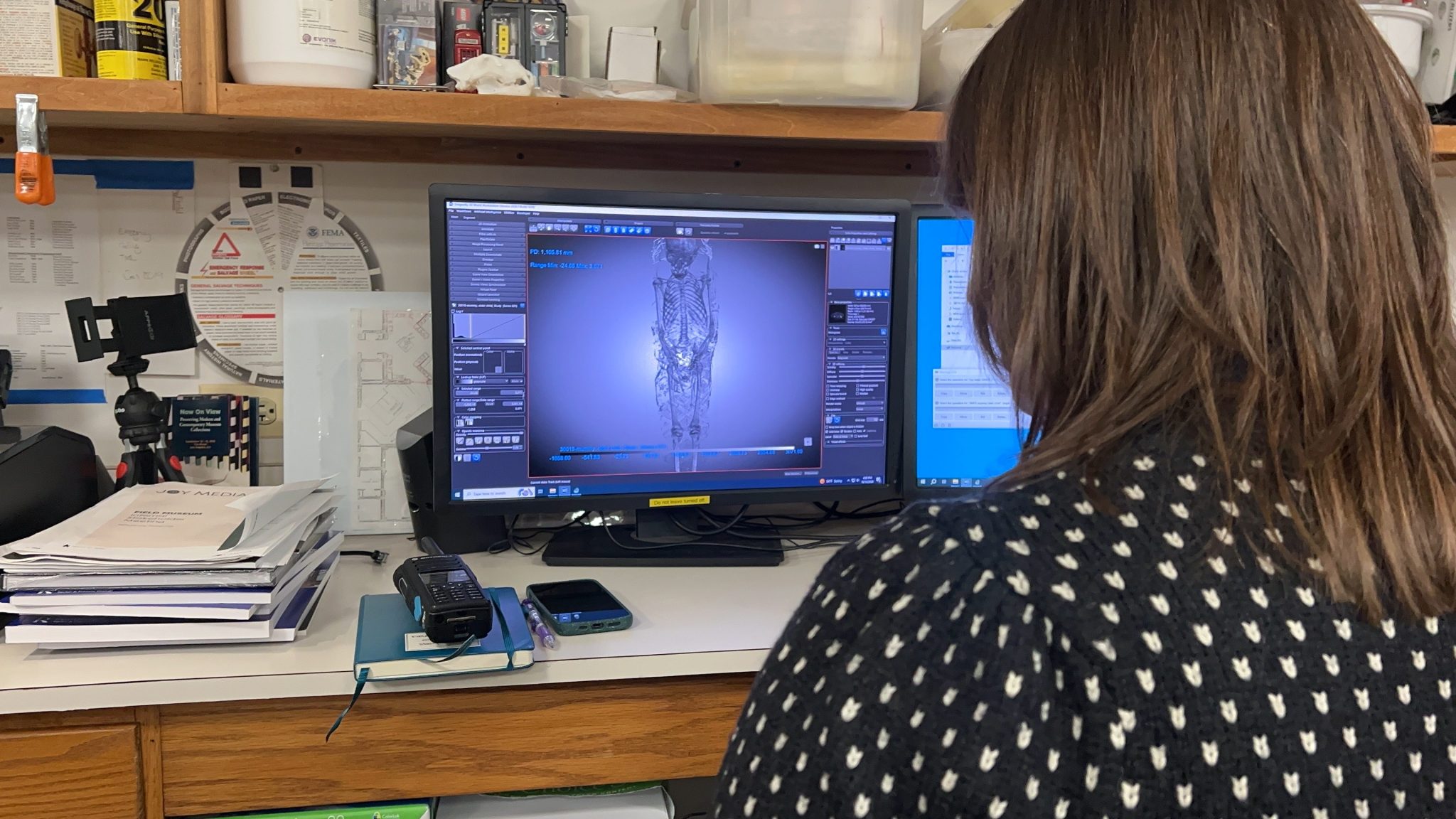 3D scans reveal secrets of a 3,000-year-old Egyptian mummy's coffin ...