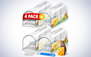 The best mouse traps | Popular Science