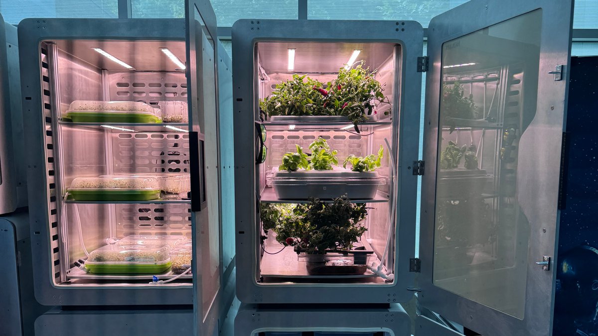 'Electro-agriculture' may help plants grow in the dark | Popular Science