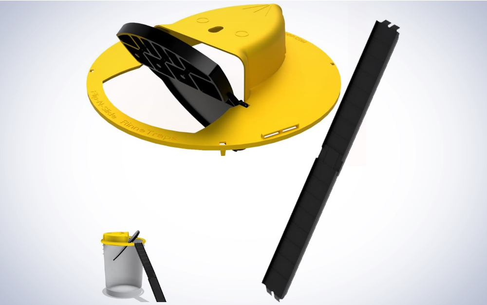 The best mouse traps | Popular Science