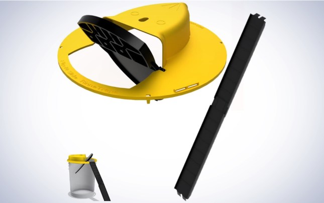 The best mouse traps | Popular Science