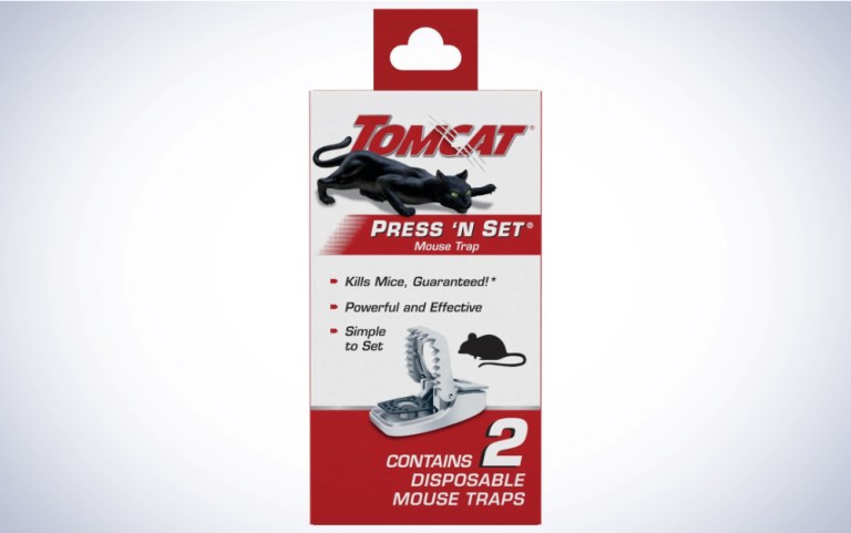 The best mouse traps | Popular Science