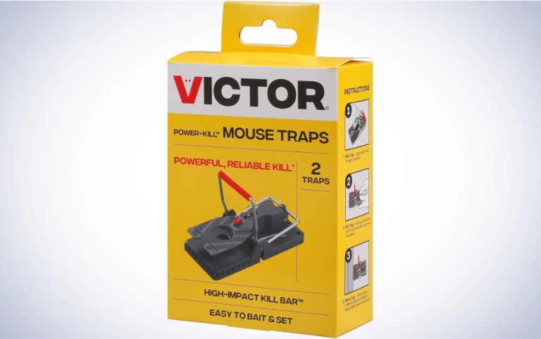 The best mouse traps | Popular Science