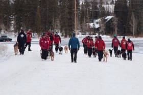 As winter approaches, avalanche dogs train for rescues | Popular Science