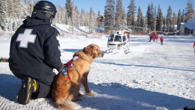As winter approaches, avalanche dogs train for rescues | Popular Science