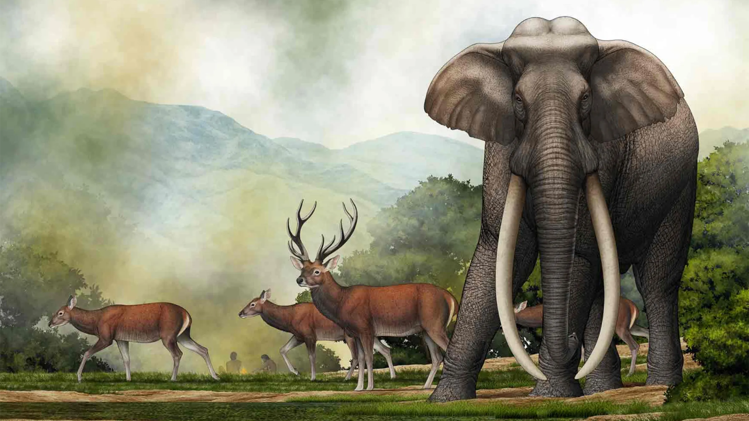 Mysterious elephant species uncovered with 87 prehistoric stone tools ...
