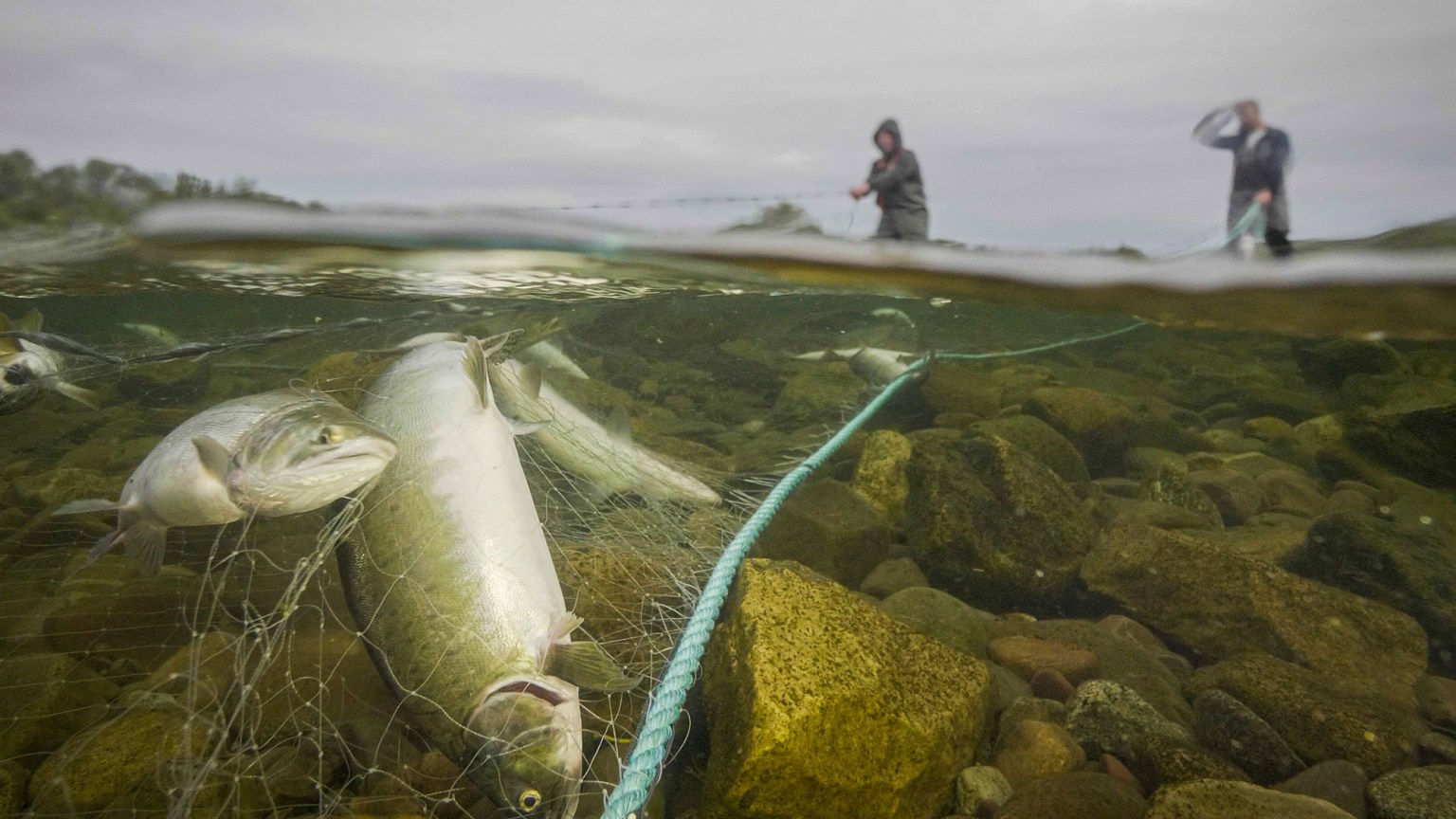 Where the rivers run pink | Popular Science