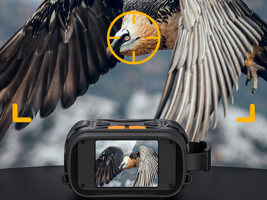 Think bird watching is for grandmas? Try it in the dark | Popular Science